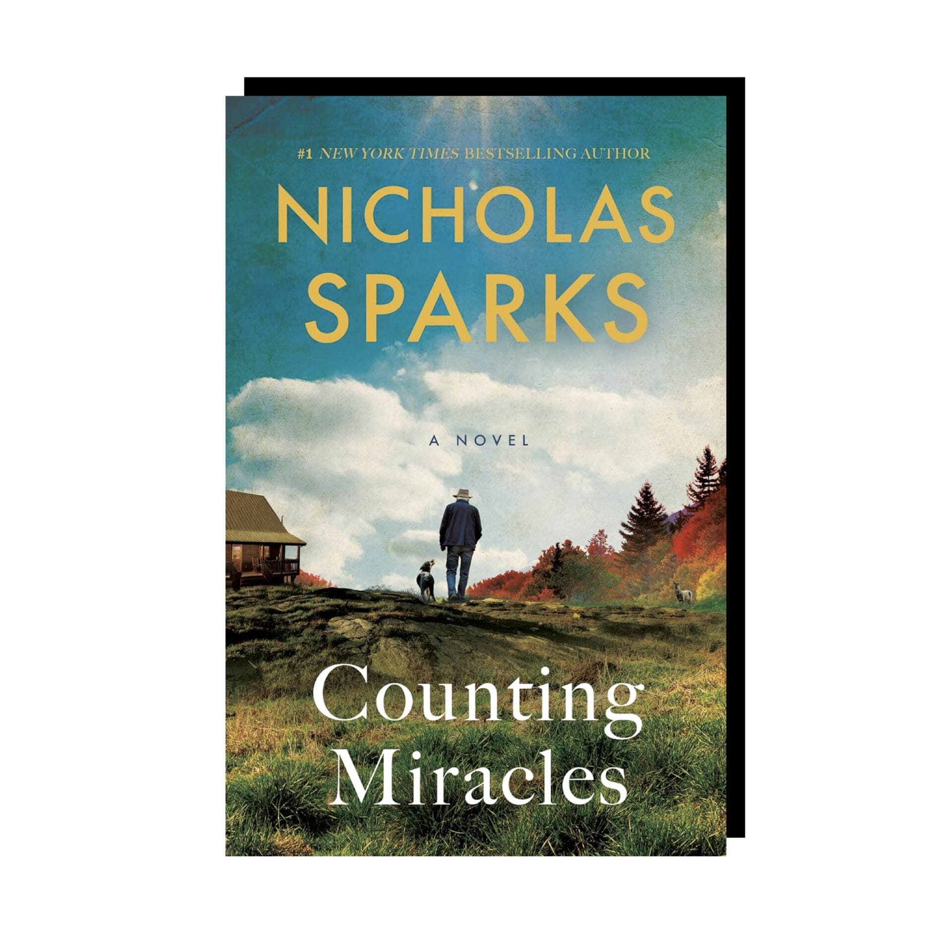 Read More, Often - Paperbacks